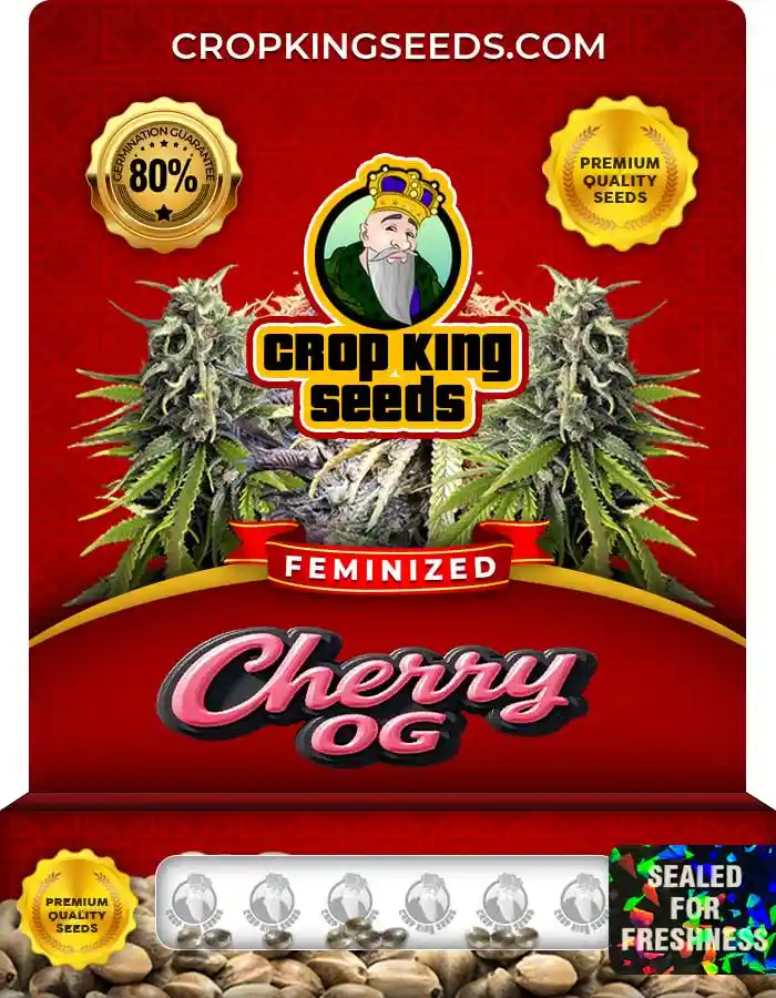 Buy Cherry OG Strain Feminized Marijuana Seeds | Crop King Seeds