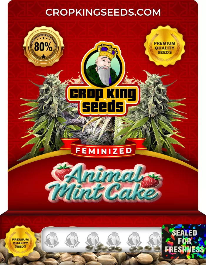 Animal Mint Cake Feminized Marijuana Seeds | Crop King Seeds