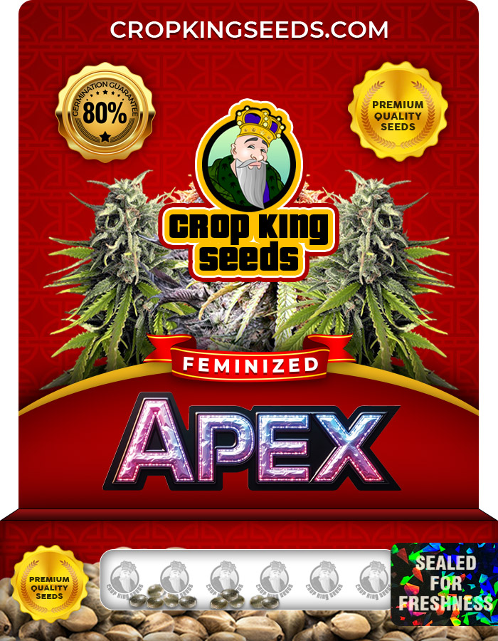 Apex Feminized Marijuana Seeds | Crop King Seeds