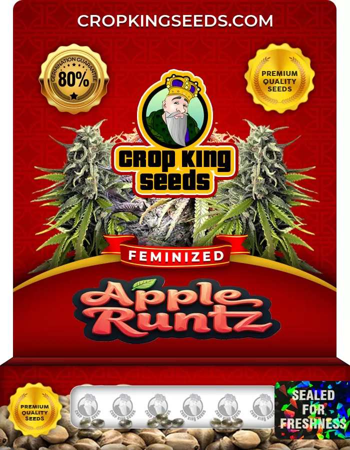 Apple Runtz Feminized Marijuana Seeds | Crop King Seeds