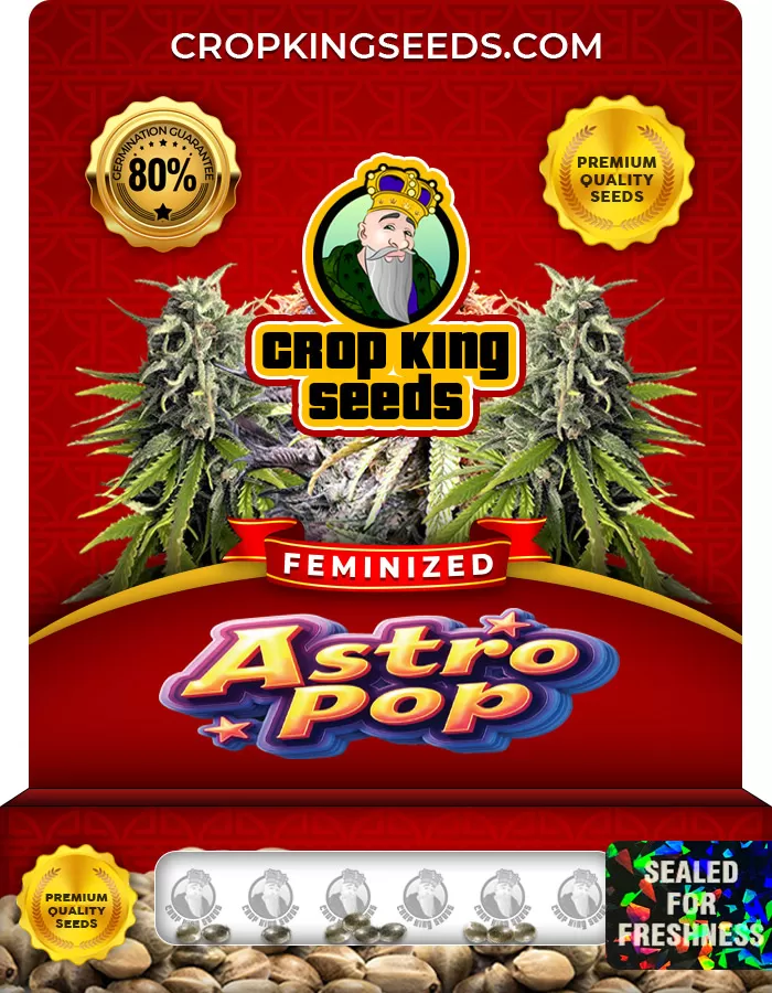 Astro Pop Feminized Marijuana Seeds | Crop King Seeds