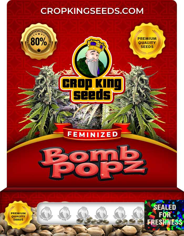 Buy Bomb Popz Strain Feminized Marijuana Seeds | Crop King Seeds