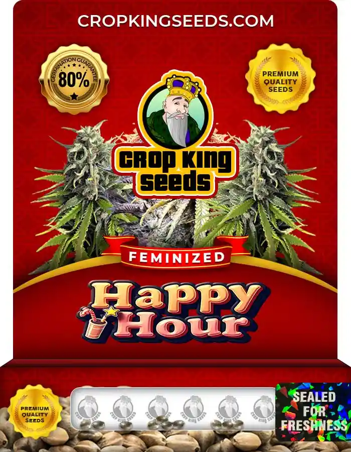 Buy Happy Hour Strain Feminized Marijuana Seeds | Crop King Seeds