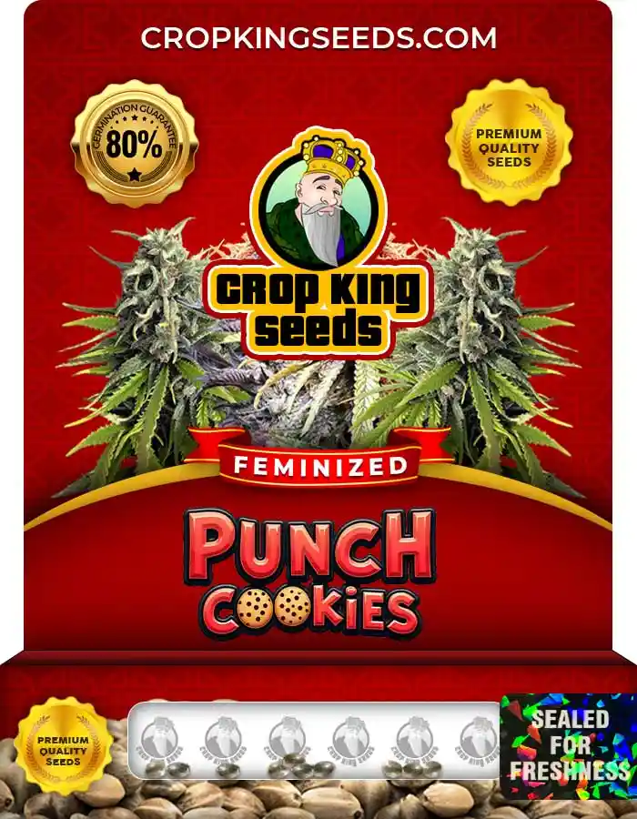 Buy Punch Cookies Strain Feminized Marijuana Seeds | Crop King Seeds