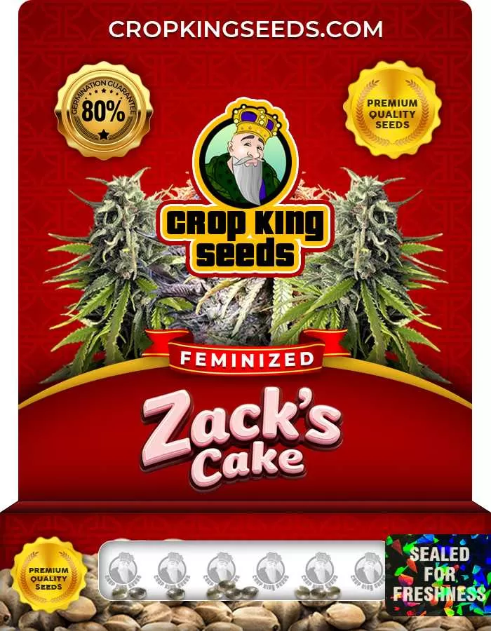 Buy Zacks Cake Strain Feminized Marijuana Seeds | Crop King Seeds