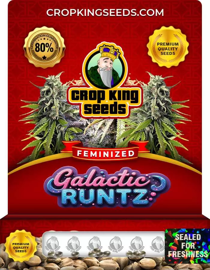 Buy Galactic Runtz Strain Feminized Marijuana Seeds | Crop King Seeds
