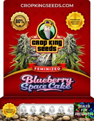 Buy Blueberry Space Cake Strain Feminized Marijuana Seeds | Crop King Seeds
