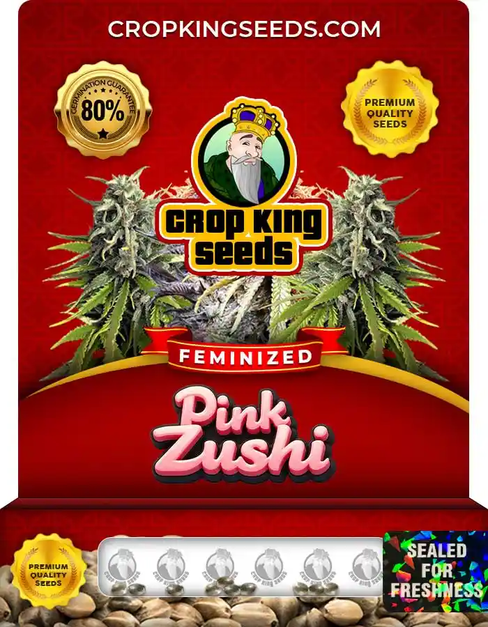 Buy Pink Zushi Strain Feminized Marijuana Seeds | Crop King Seeds