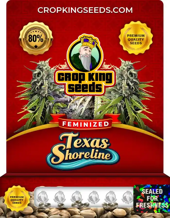 Buy Texas Shoreline Strain Feminized Marijuana Seeds | Crop King Seeds