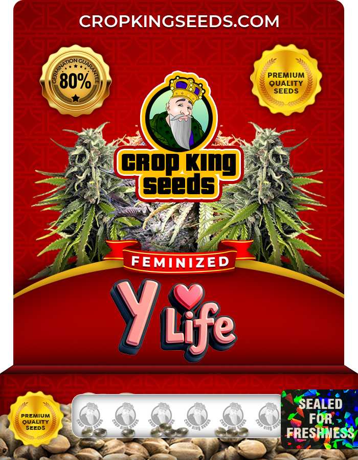Buy Y Life Strain Feminized Marijuana Seeds | Crop King Seeds
