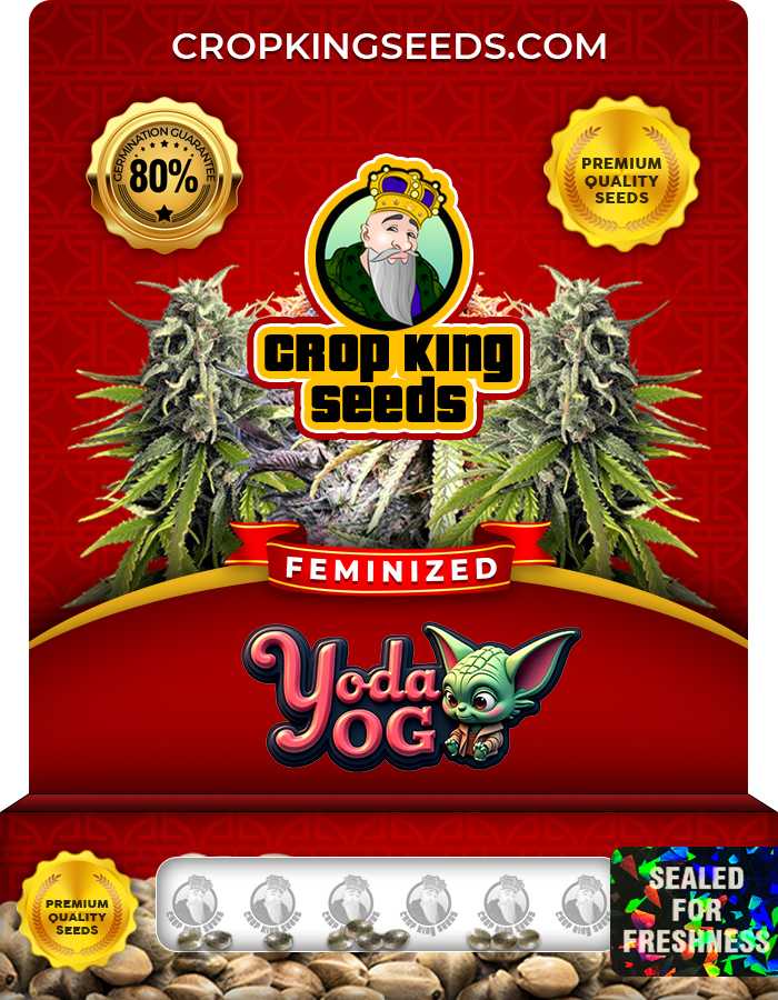 Buy Yoda OG Strain Feminized Marijuana Seeds | Crop King Seeds