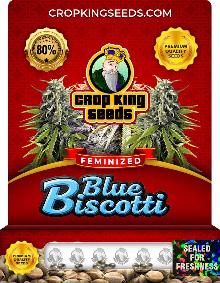 Buy Blue Biscotti Strain Feminized Marijuana Seeds | Crop King Seeds