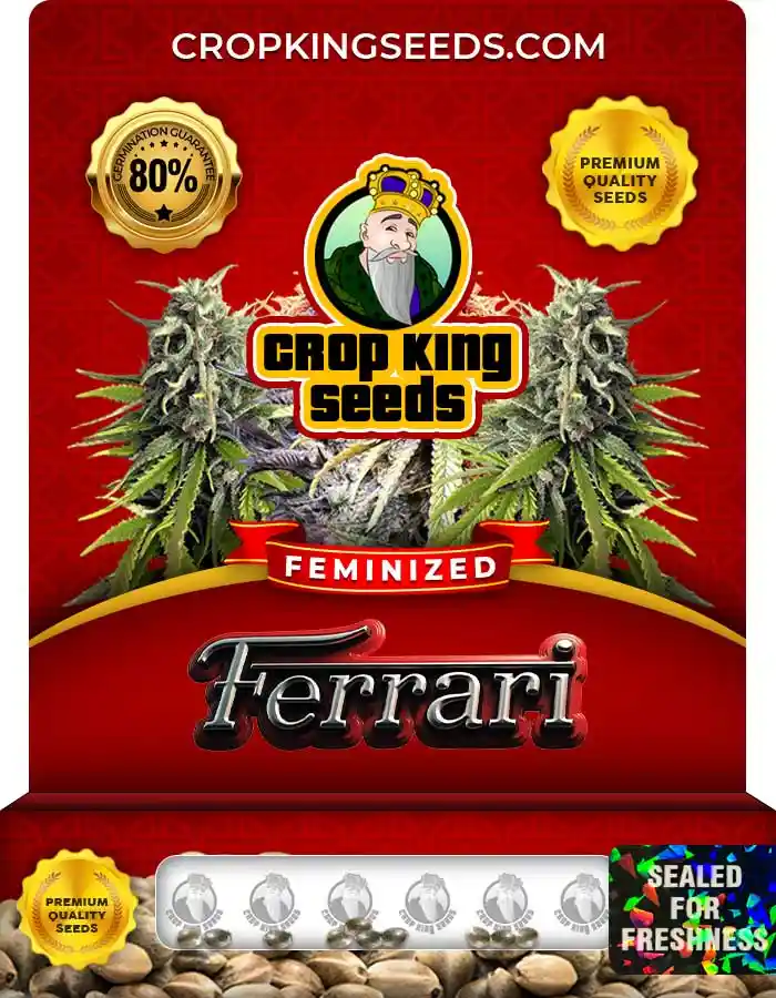 Buy Ferrari Strain Feminized Marijuana Seeds | Crop King Seeds