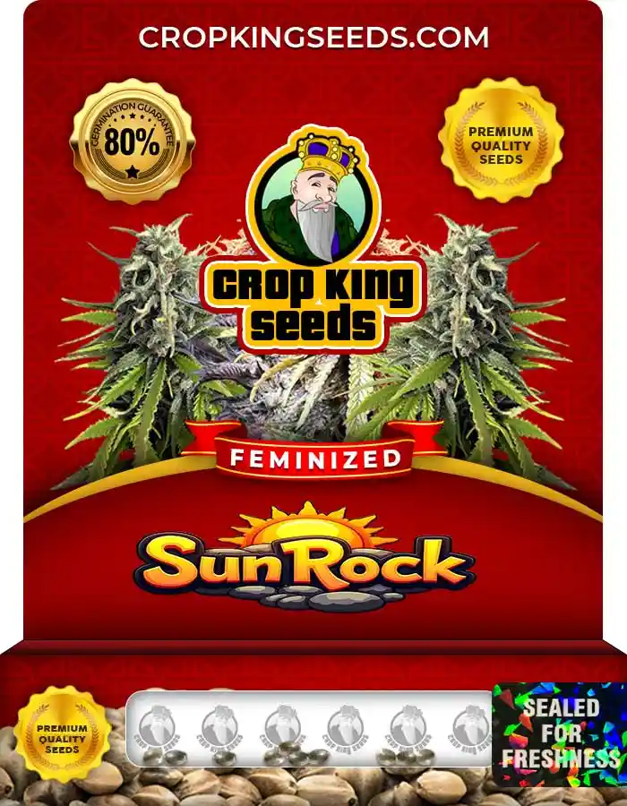 Buy Sun Rock Strain Feminized Marijuana Seeds | Crop King Seeds