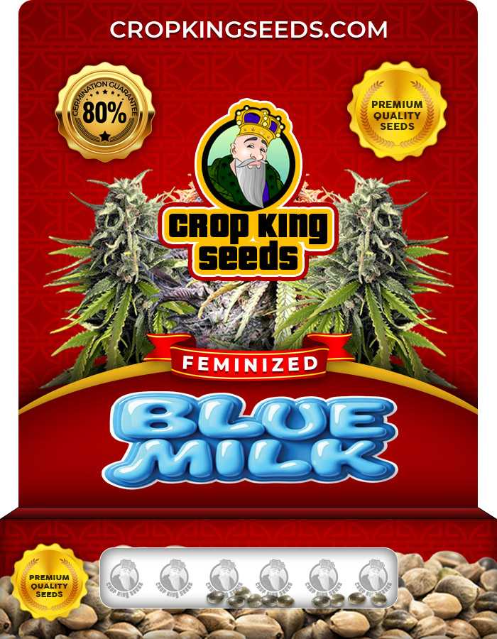 Buy Blue Milk Strain Feminized Marijuana Seeds | Crop King Seeds