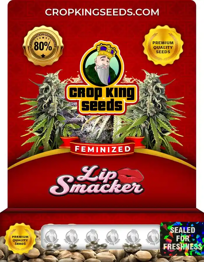 Buy Lip Smacker Strain Feminized Marijuana Seeds | Crop King Seeds