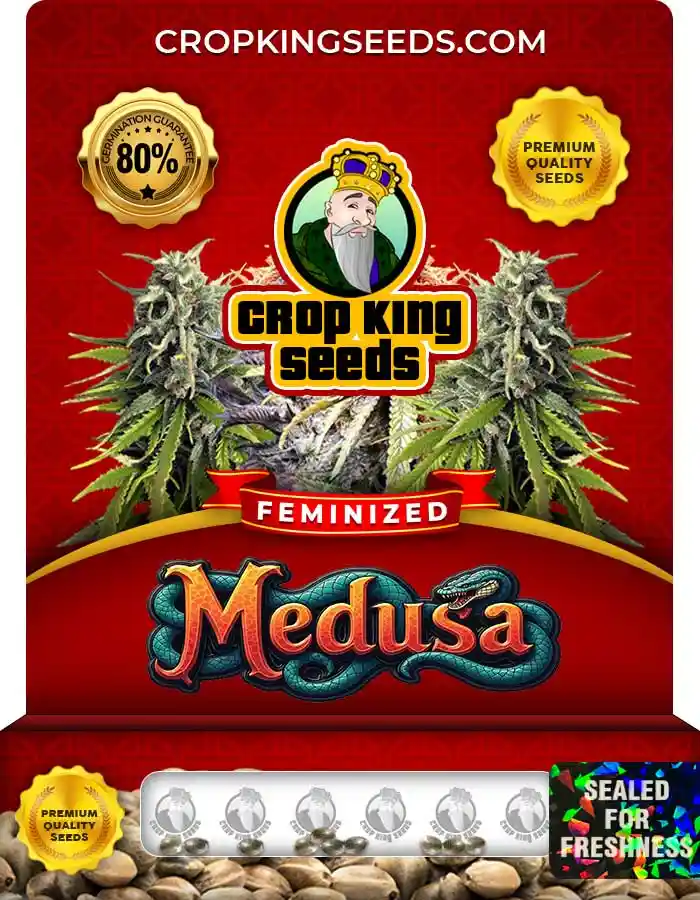 Buy Medusa Strain Feminized Marijuana Seeds | Crop King Seeds