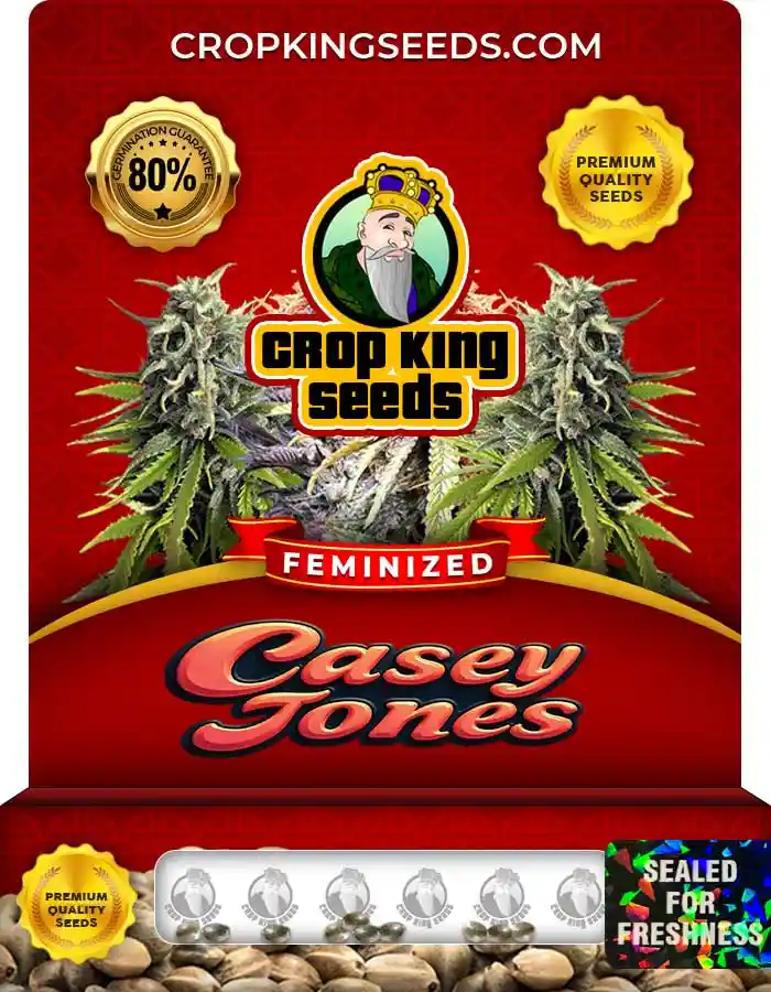 Buy Casey Jones Strain Feminized Marijuana Seeds | Crop King Seeds
