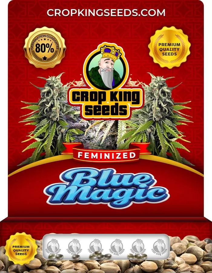 Buy Blue Magic Strain Feminized Marijuana Seeds | Crop King Seeds