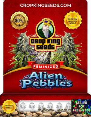 Alien Pebbles Feminized Marijuana Seeds | Crop King Seeds