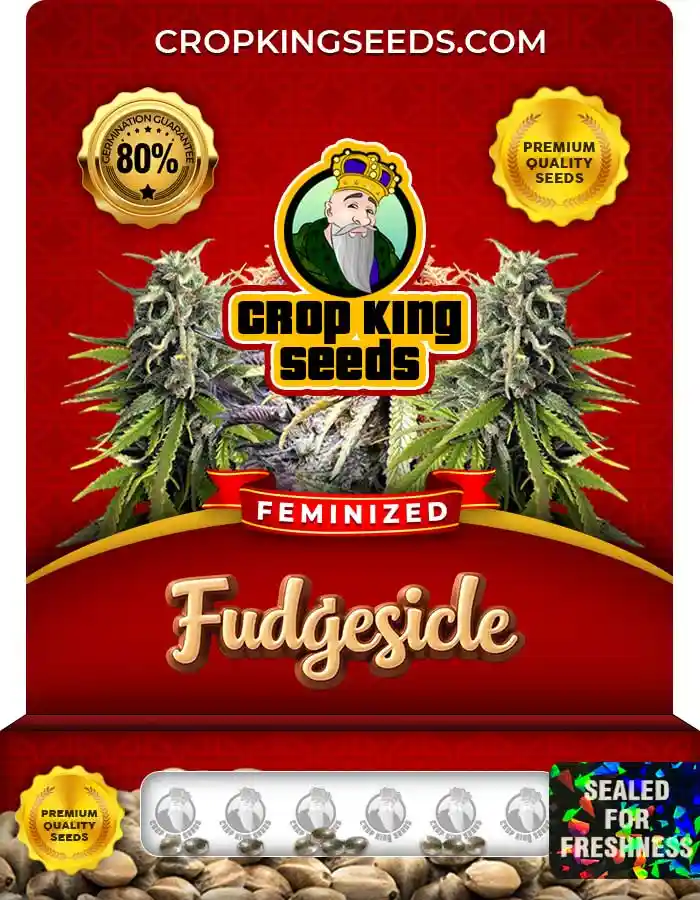 Buy Fudgesicle Strain Feminized Marijuana Seeds | Crop King Seeds