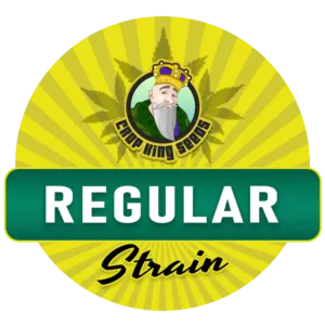 Crop King Seeds | Buy High-Quality Marijuana Seeds Online