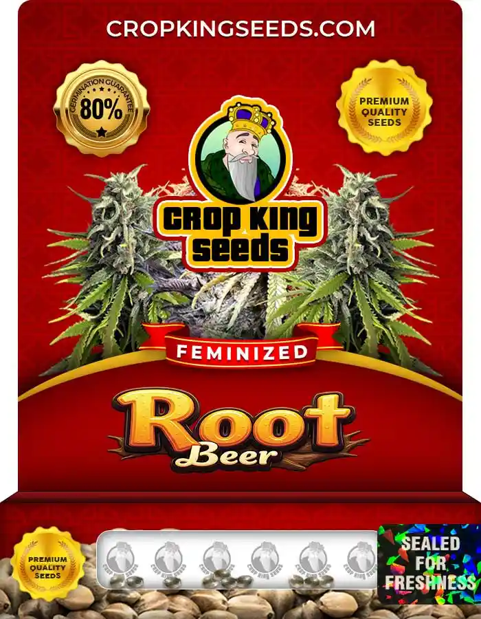 Buy Root Beer Strain Feminized Marijuana Seeds | Crop King Seeds