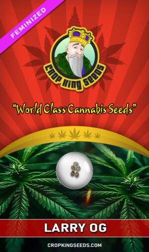 Buy Larry OG Strain Feminized Marijuana Seeds | Crop King Seeds