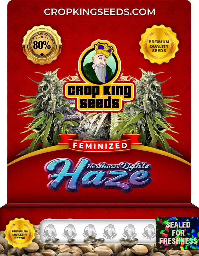 Buy Northern Lights Haze Feminized Marijuana Seeds | Crop King Seeds