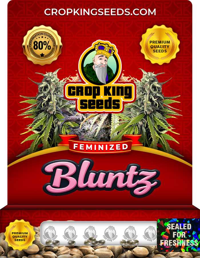 Buy Bluntz Strain Feminized Seeds | Crop King Seeds