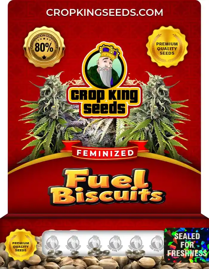 Buy Fuel Biscuits Strain Feminized Seeds | Crop King Seeds