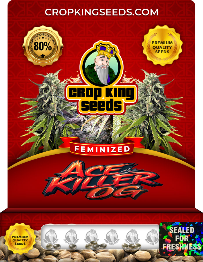 Ace Killer OG Feminized Marijuana Seeds | Crop King Seeds