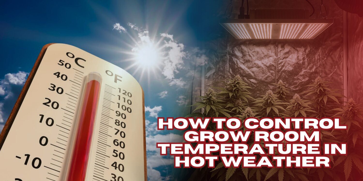 How to Control Grow Room Temperature in Hot Weather | Crop King Seeds