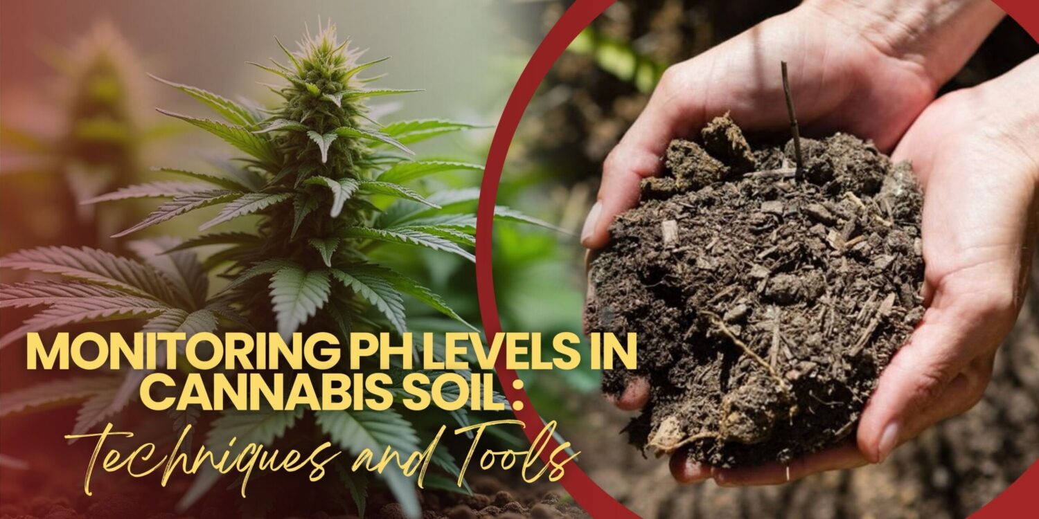 Monitoring pH Levels in Cannabis Soil: Techniques and Tools | Crop King ...
