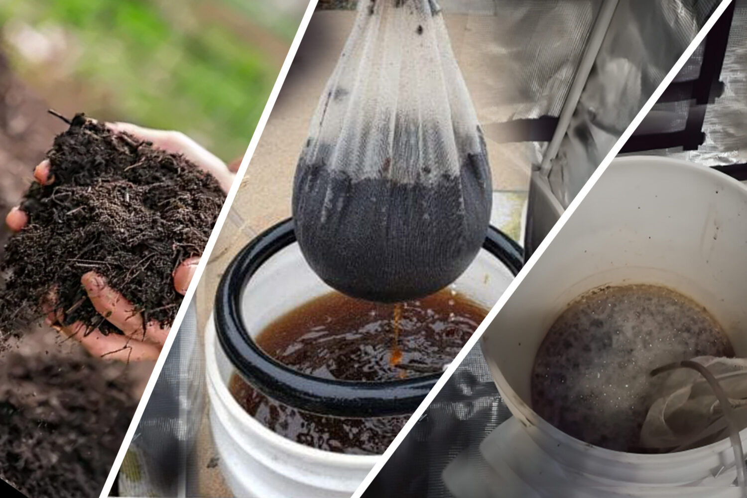 Maximize Growth and Harvests Using Marijuana Compost Teas Naturally ...