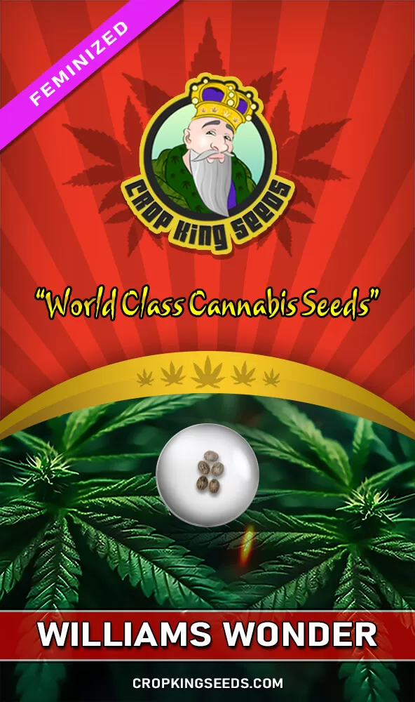 Williams Wonder Feminized Seeds | Crop King Seeds