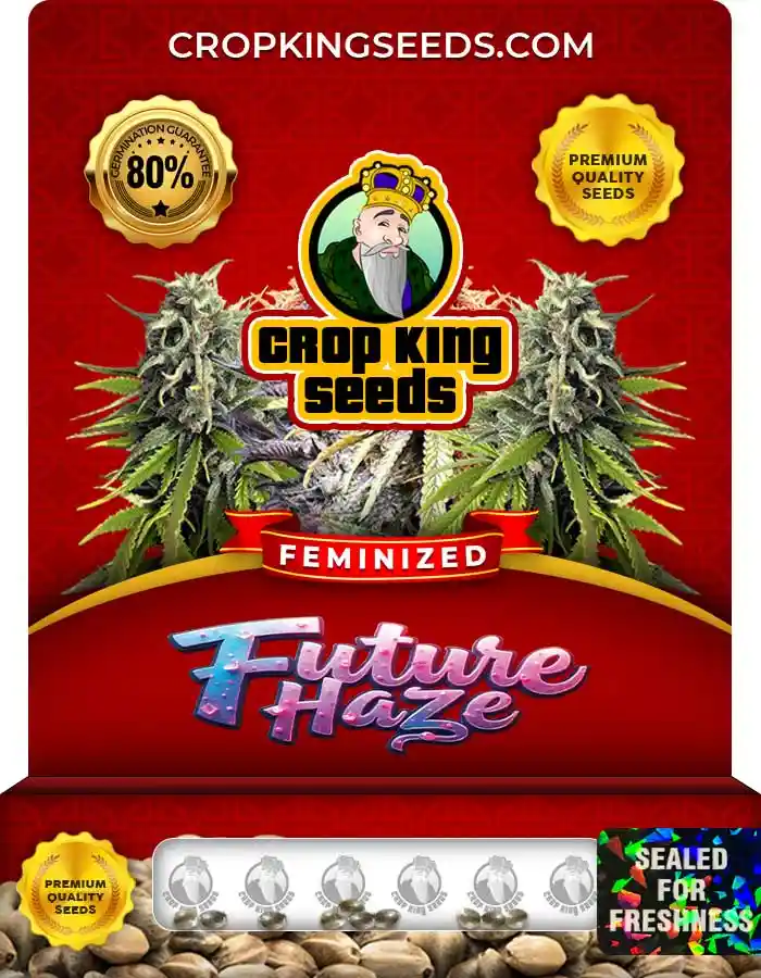 Future Haze Feminized Seeds | Crop King Seeds