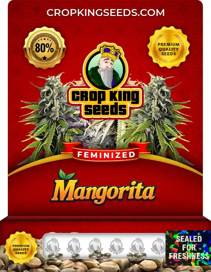 Mangorita Feminized Seeds | Crop King Seed