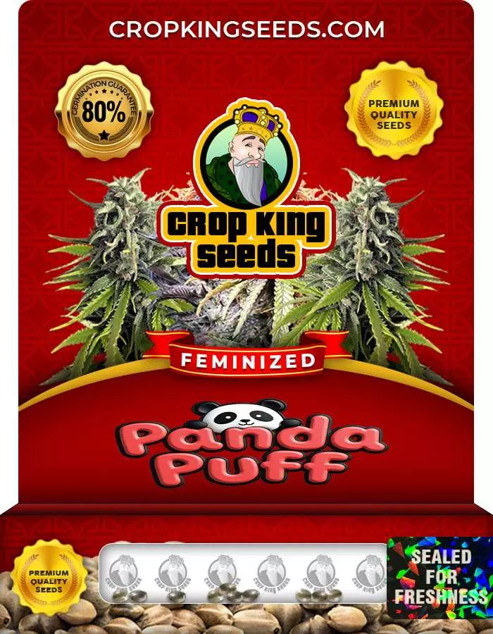 Panda Puff Feminized Seeds | Crop King Seeds