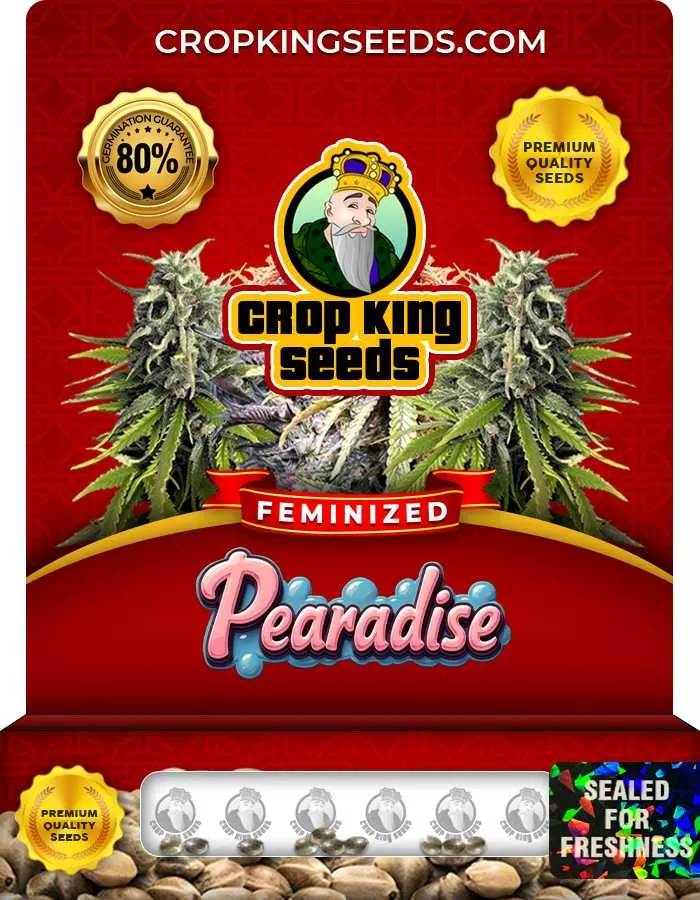 Pearadise Feminized Seeds | Crop King Seeds