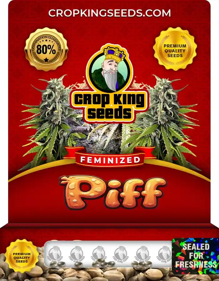 Piff Feminized Seeds | Crop King Seeds
