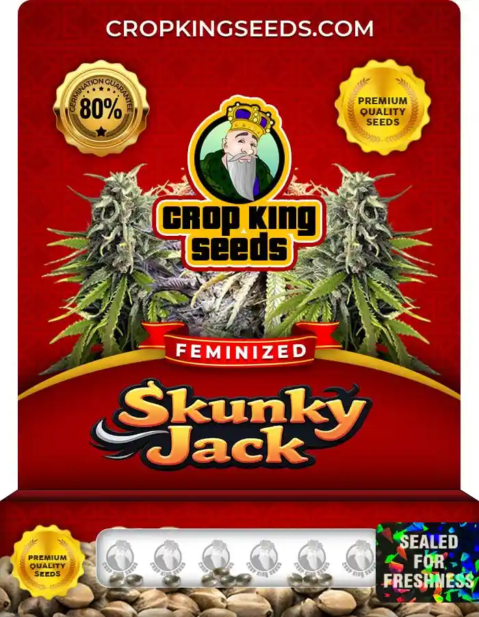 Skunky Jack Feminized Seeds | Crop King Seeds