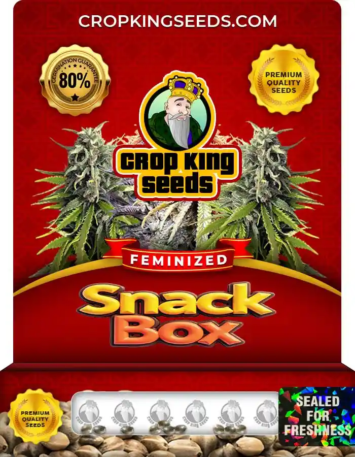 Snack Box Feminized Seeds | Crop King Seeds
