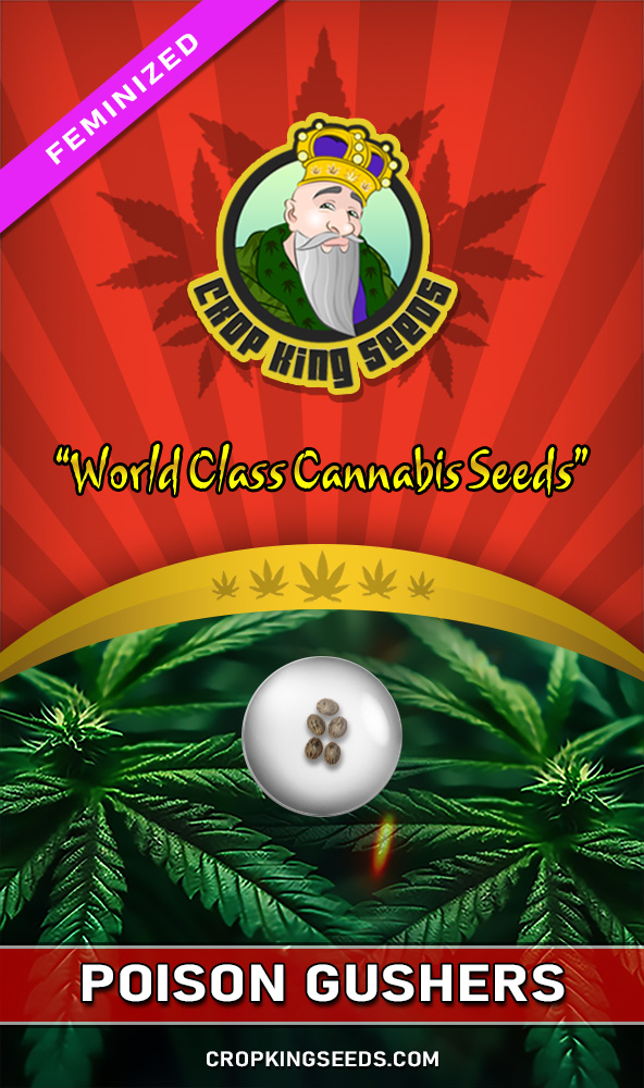 Buy Poison Gushers Feminized Seeds | Crop King Seeds