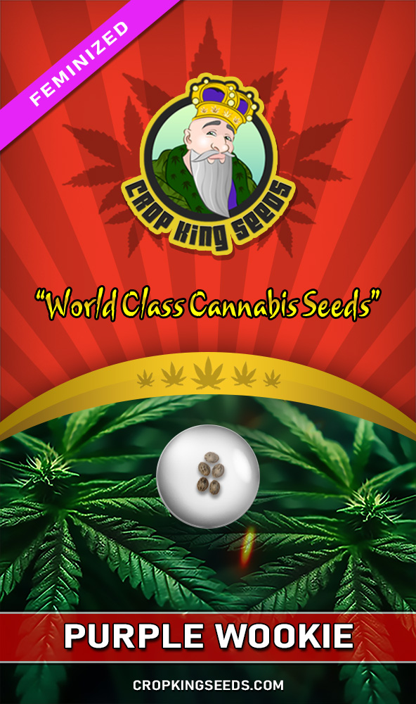 Buy Panama Red Strain Feminized Marijuana Seeds | Crop King Seeds