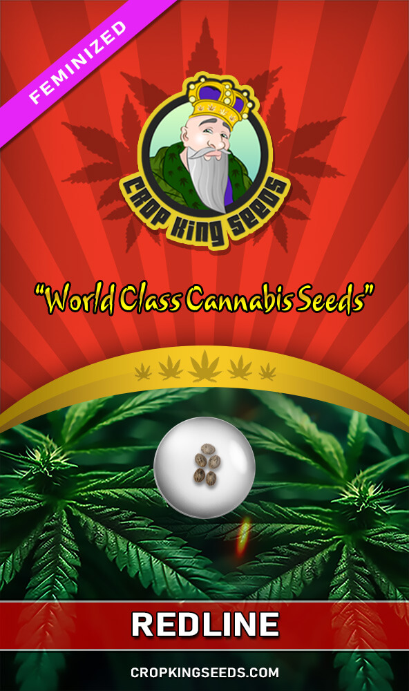 Buy CB Dream Strain Marijuana Seeds | Crop King Seeds