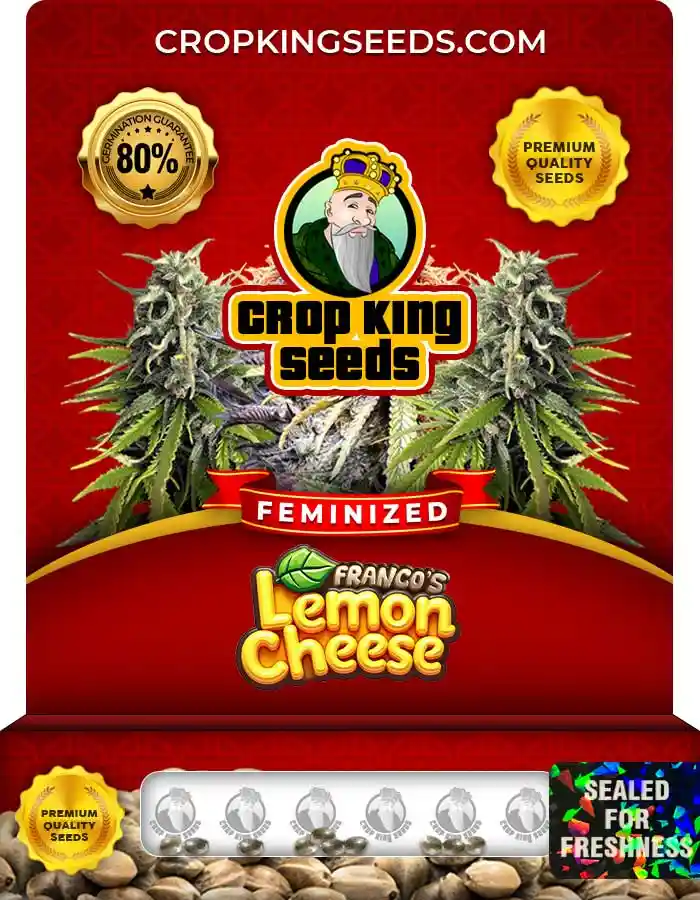 Franco’s Lemon Cheese Strain Feminized Seeds