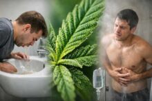 Cannabis Hyperemesis Syndrome: What Is It? | Crop King Seeds