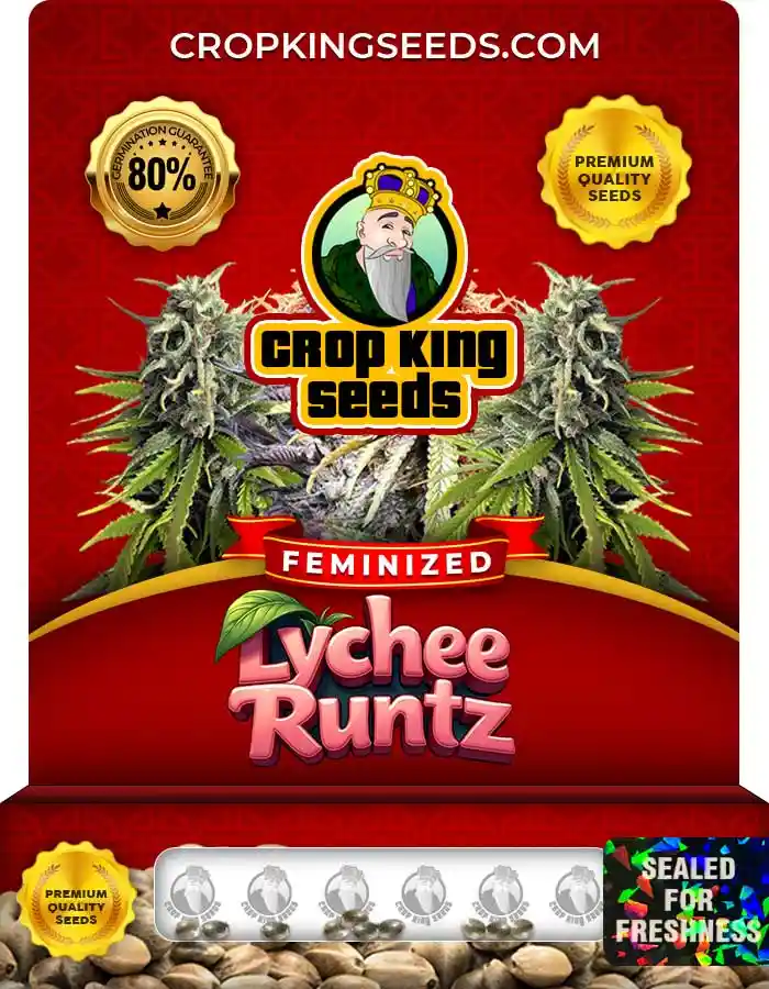 Lychee Runtz Strain Feminized Seeds I Exotic High Potency Strain