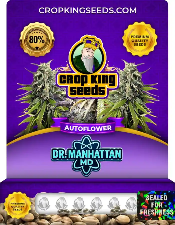 Dr. Manhattan MD Autoflower Seeds I Crop King Seeds